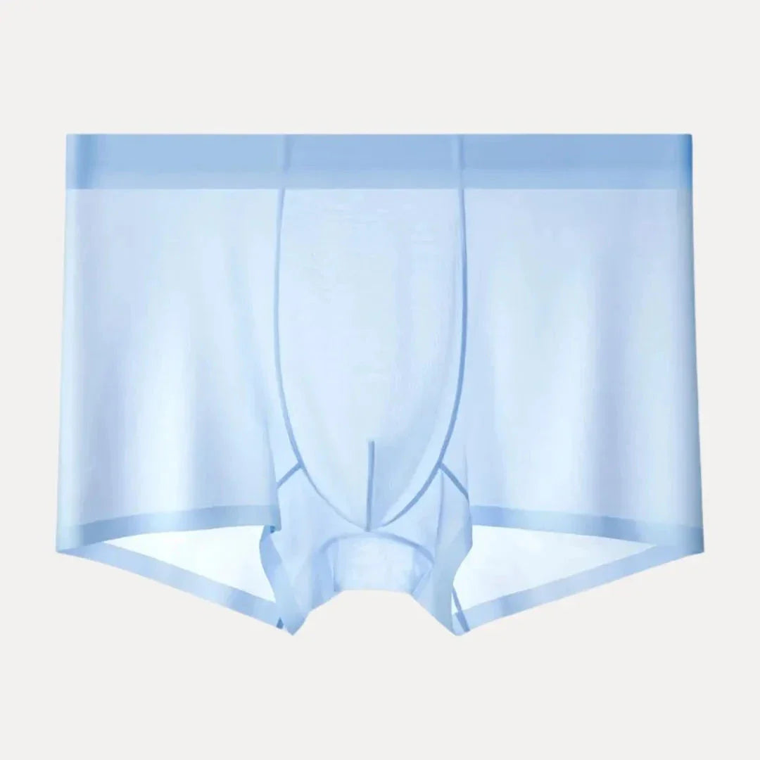 Wavlynn 4 Piece Ultra Thin Ice Silk Men's Boxer Briefs Set Breathable