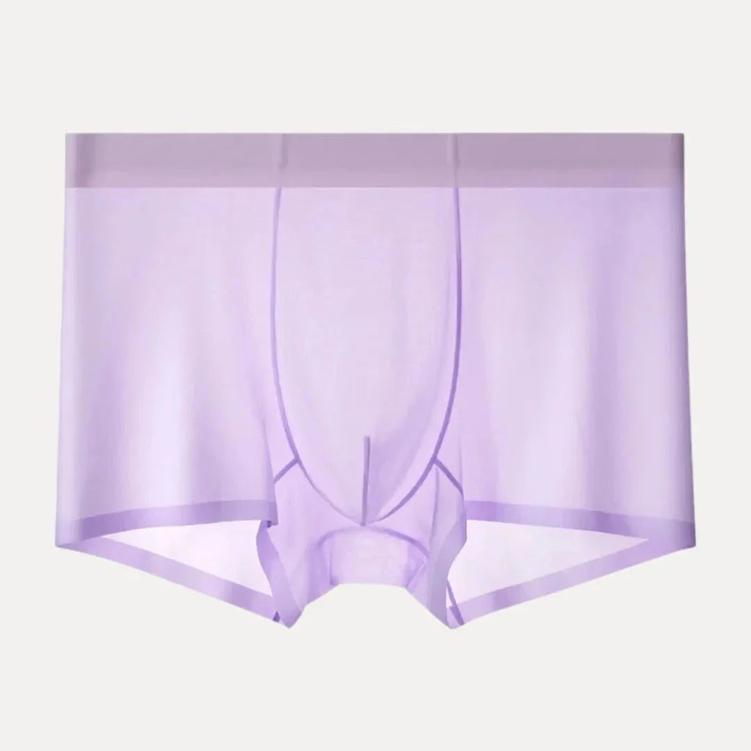 Wavlynn 4 Piece Ultra Thin Ice Silk Men's Boxer Briefs Set Breathable